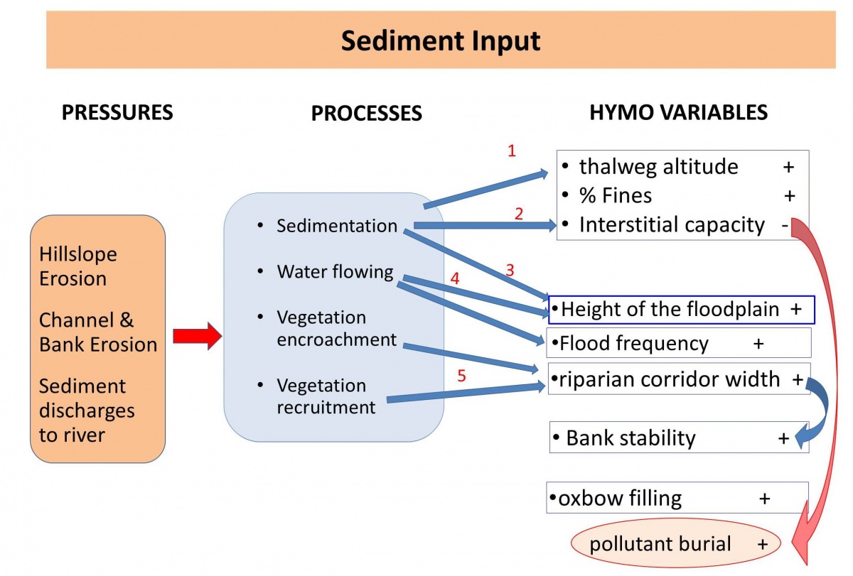 File:Sediment input.jpg - REFORM wiki
